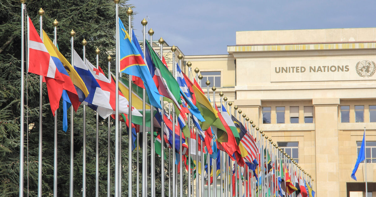 Three First-Year Students Become United Nations Youth Representatives ...